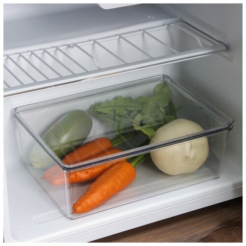 Контейнер для холодильника с крышкой и ручкой RICCO, 32×20,5×10 см, цвет прозрачный