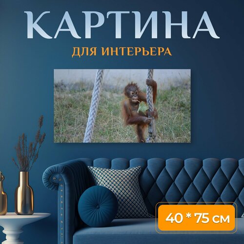 Картина на холсте "Обезьяна, примат, орангутанг" на подрамнике 75х40 см. для интерьера