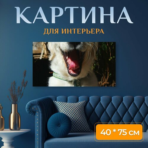 Картина на холсте "Собака, щенок, улыбка" на подрамнике 75х40 см. для интерьера