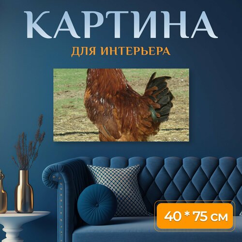 Картина на холсте "Состав, кукареканье, курица" на подрамнике 75х40 см. для интерьера