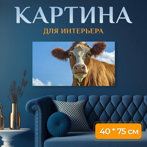 Картина на холсте "Корова, говядина, красная голштинская" на подрамнике 75х40 см. для интерьера