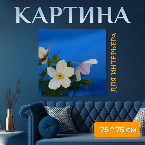 Картина на холсте "Цветок, белый цветок, белые лепестки" на подрамнике 75х75 см. для интерьера