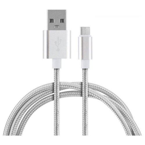 Кабель Energy ET-29-2 USB - Type-C, 2 м, 1 шт., серебристый