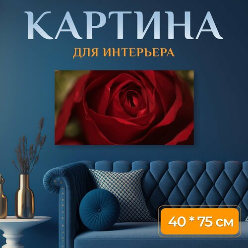 Картина на холсте "Роза, красный, цветок" на подрамнике 75х40 см. для интерьера