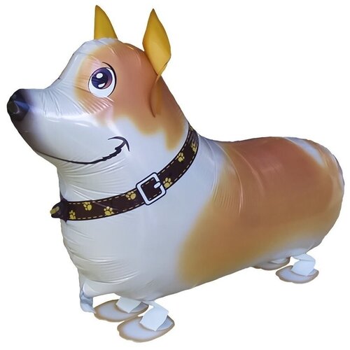Воздушный шар ходячая фигура собака корги