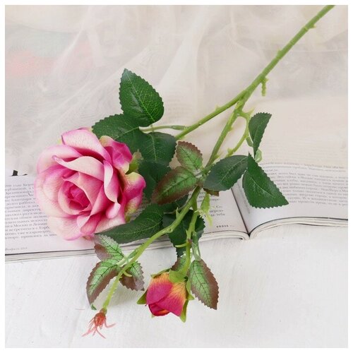 Цветы искусственные "Роза душистая" 9*50 см, бело-сиреневый