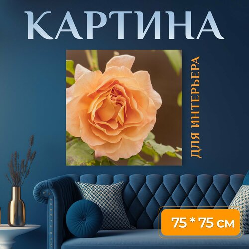 Картина на холсте "Цветок, роза, романтичный" на подрамнике 75х75 см. для интерьера