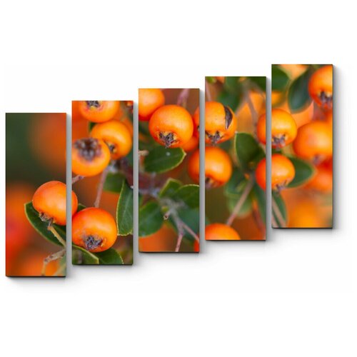 Модульная картина Спелые ягоды рябины 120x84
