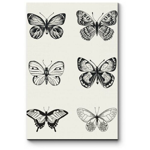 Модульная картина Черно-белые бабочки 40x60