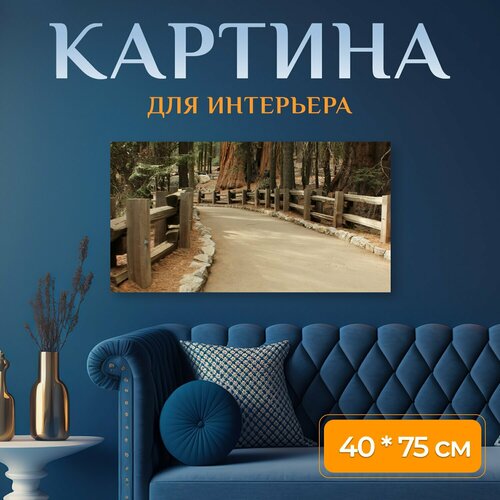 Картина на холсте "Тащить, лес, секвойя" на подрамнике 75х40 см. для интерьера