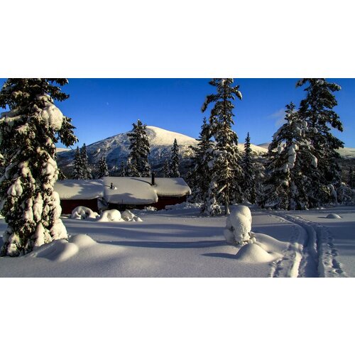 Картина на холсте 60x110 LinxOne "Снег зима зимний лес" интерьерная для дома / на стену / на кухню / с подрамником