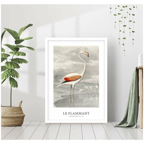 Постер В рамке "Фламинго, иллюстрация" 50 на 70 (белая рама) / Картина для интерьера / Плакат / Постер на стену / Интерьерные картины в рамке