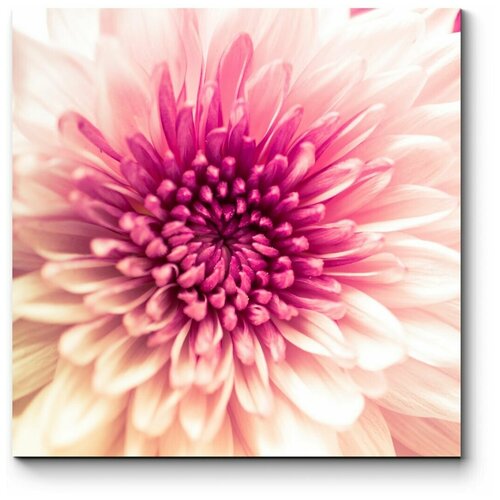 Модульная картина Розовая хризантема20x20