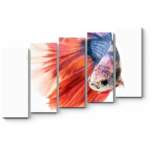 Модульная картина Красно-синяя рыбка 120x84