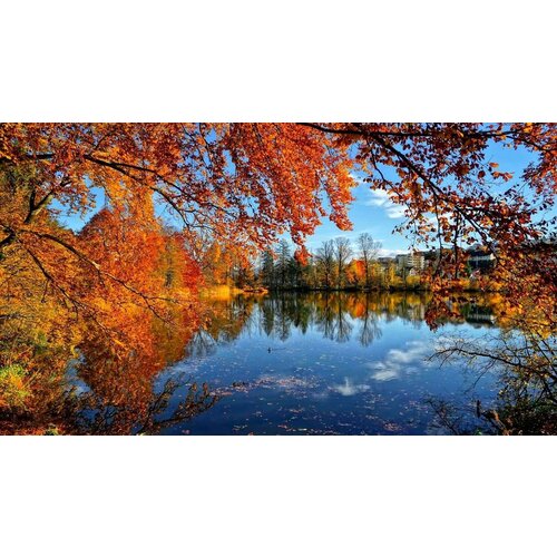 Картина на холсте 60x110 Альянс Лес "Листья осень пруд дома деревья" на подрамнике / интерьер/ декор