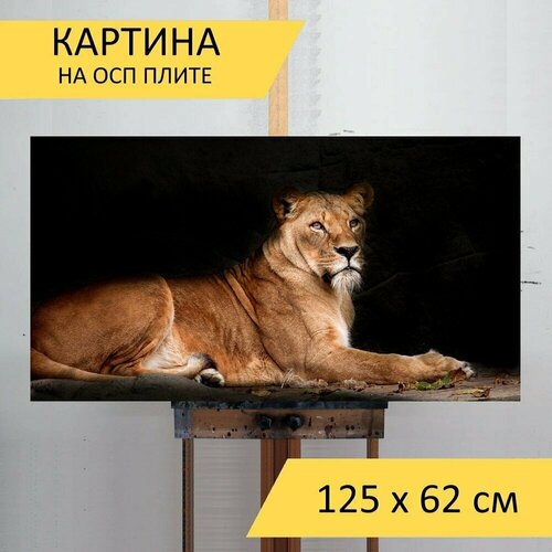 Картина на ОСП 125х62 см. "Лев, львица, млекопитающее" горизонтальная, для интерьера, с креплениями