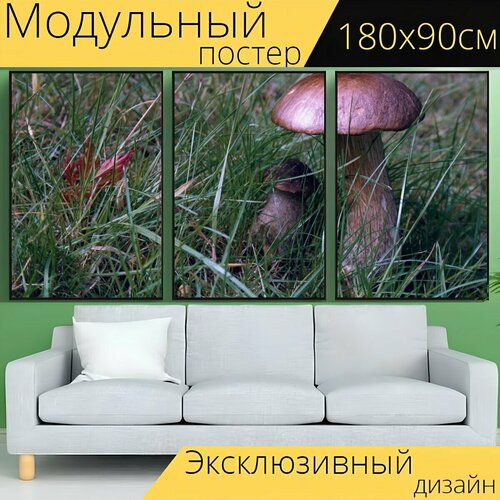 Модульный постер "Поганка, грибы, гриб" 180 x 90 см. для интерьера