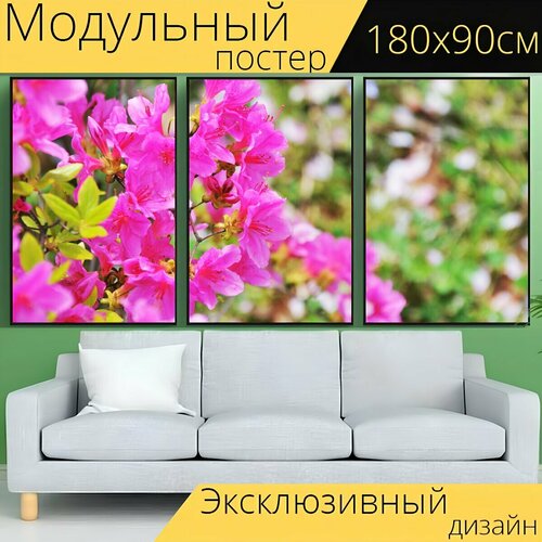 Модульный постер "Весна, цветок, розовый" 180 x 90 см. для интерьера
