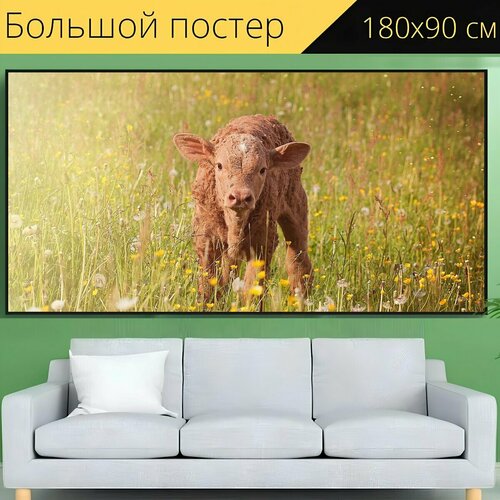 Большой постер "Корова, телец, молодняк" 180 x 90 см. для интерьера