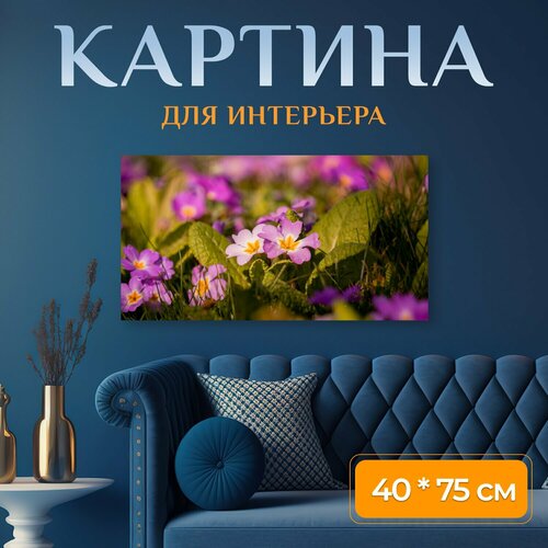 Картина на холсте "Первоцвет, цветы, растения" на подрамнике 75х40 см. для интерьера