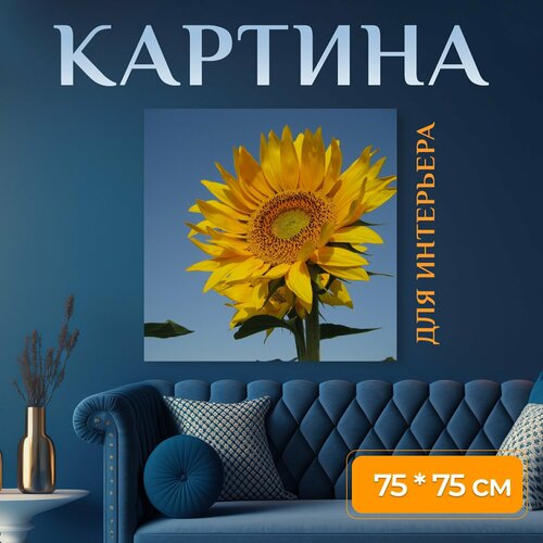 Картина на холсте "Поле, тюльпан, желтый" на подрамнике 75х75 см. для интерьера