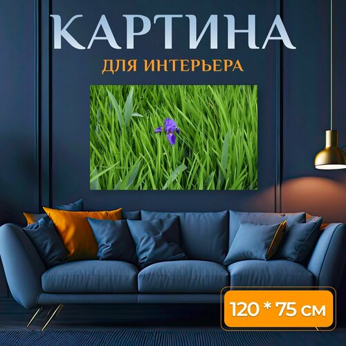 Картина на холсте "Ирис, зелень, сад" на подрамнике 120х75 см. для интерьера