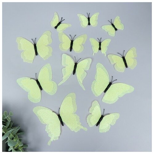MARU Магнит пластик "Бабочки двойные крылья - блеск" светло-зелёный набор 12 шт