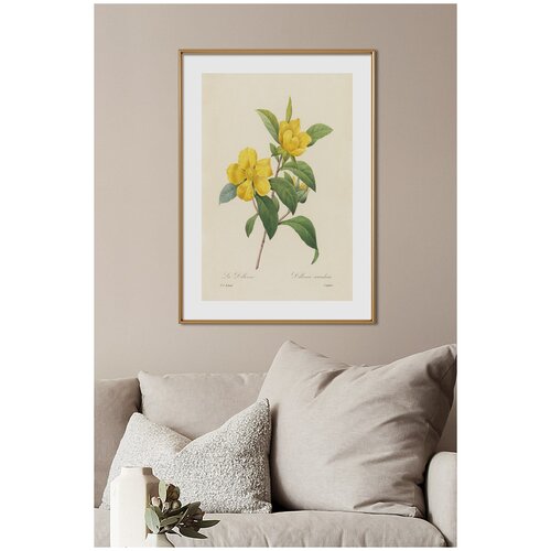 Постер на стену для интерьера Postermarkt Винтажные цветы, постер в золотой рамке 50х70 см, ботаническая иллюстрация №20