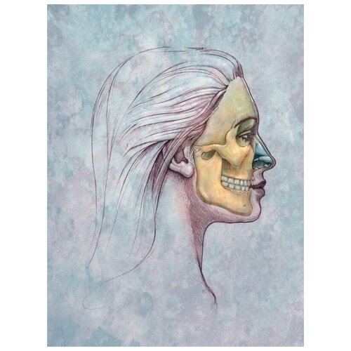 Постер на холсте Кости черепа (Skull bones) 40см. x 53см.