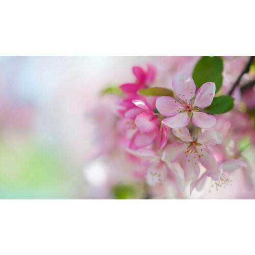 Картина на холсте 60x110 LinxOne "Весна сакура нежность розовый" интерьерная для дома / на стену / на кухню / с подрамником