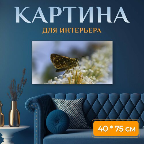 Картина на холсте "Бабочка, насекомое, цветы" на подрамнике 75х40 см. для интерьера