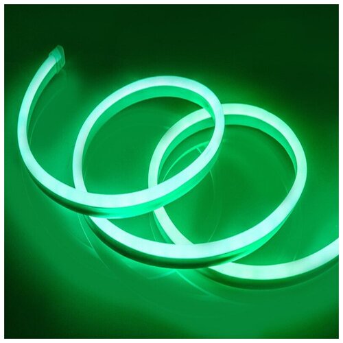 Неоновая светодиодная лента DLED 1м, 5х12мм, 12V DC, 120 LED/m, IP 67, гибкий неон, зеленый