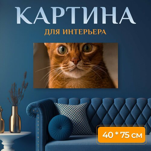 Картина на холсте "Кошка, рыжий кот, абиссинский" на подрамнике 75х40 см. для интерьера