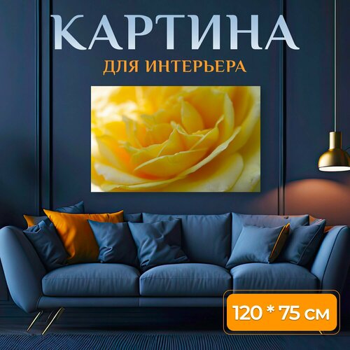 Картина на холсте "Роза, цвести, желтый" на подрамнике 120х75 см. для интерьера