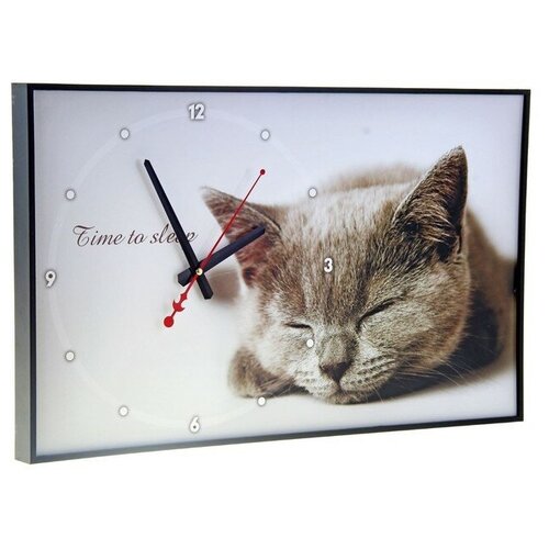 TIMEBOX Часы-картина настенные, серия: Животные, "Серая кошка", плавный ход, 57 х 35 х 4 см