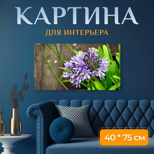 Картина на холсте "Декоративная лилия, лили, цветок" на подрамнике 75х40 см. для интерьера