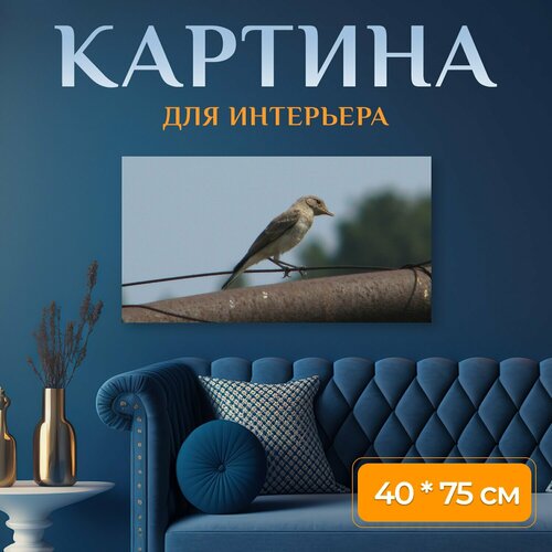 Картина на холсте "Мухоловка, птичка, лесная" на подрамнике 75х40 см. для интерьера