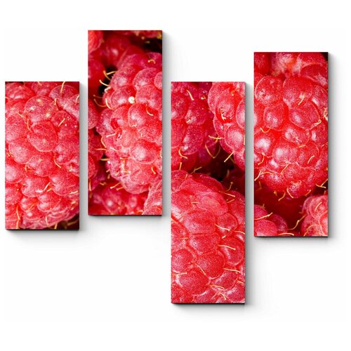 Модульная картина Крупные ягоды малины 134x126