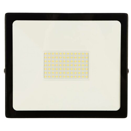 Светодиодный прожектор Smartbuy LED FL SMD LIGHT 100W, 6500K, IP65 SBL-FLLight-100-65K