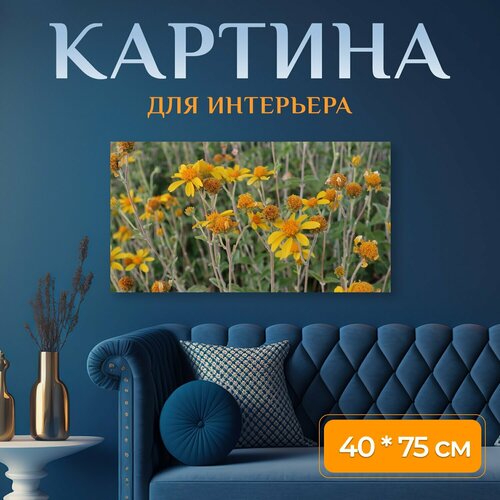 Картина на холсте "Цветок, желтый, небо" на подрамнике 75х40 см. для интерьера