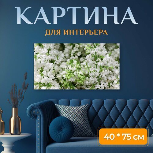 Картина на холсте "Сирень, белый, весна" на подрамнике 75х40 см. для интерьера