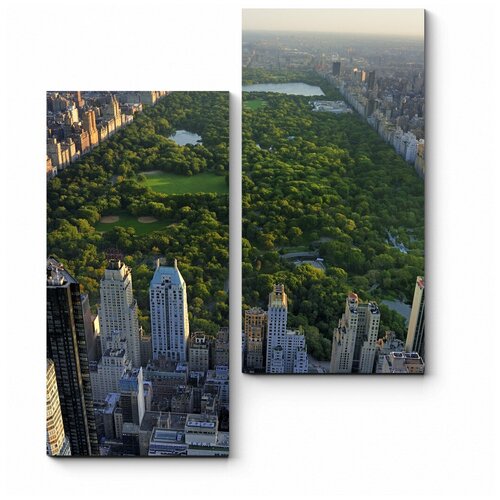 Модульная картина Центральный парк с высоты птичьего полета 50x63