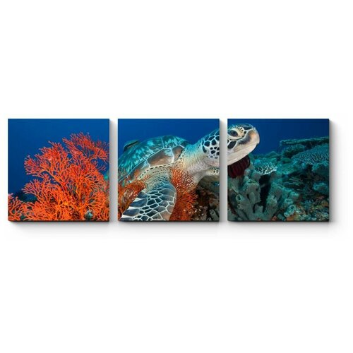 Модульная картина Морская черепаха в кораллах170x57