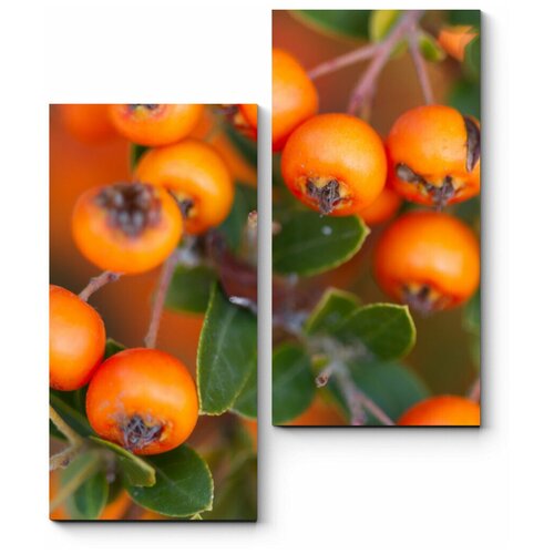 Модульная картина Спелые ягоды рябины 100x125