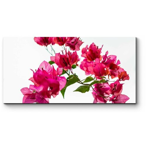 Модульная картина Розовая бугенвиллея 190x95