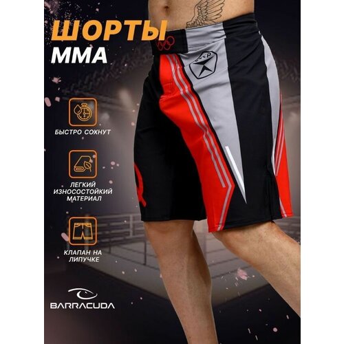 Шорты BARRACUDA, размер S, серый, черный