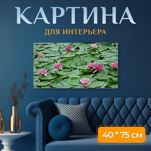 Картина на холсте "Водяные лилии, цветы, соединение" на подрамнике 75х40 см. для интерьера
