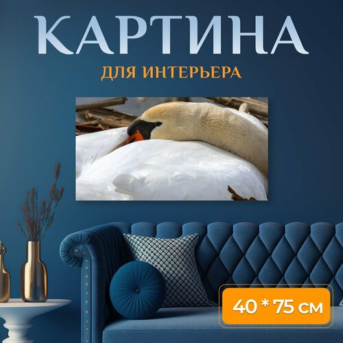 Картина на холсте "Немой лебедь, лебедь, птица" на подрамнике 75х40 см. для интерьера