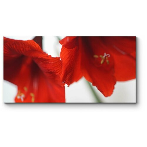 Модульная картина Красные цветы150x75