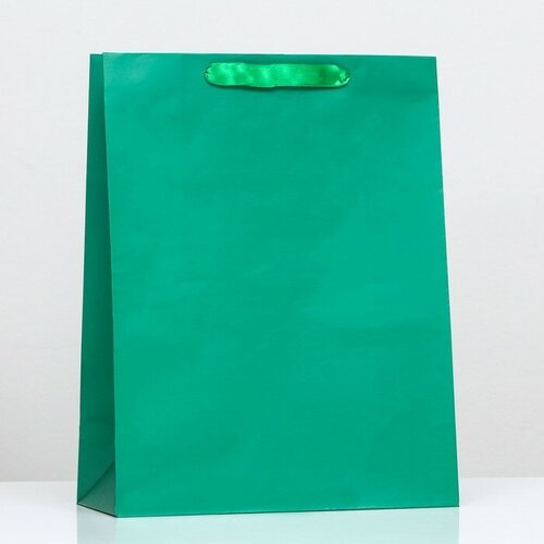Пакет ламинированный Зелeный, 31 х 40 х 14 см